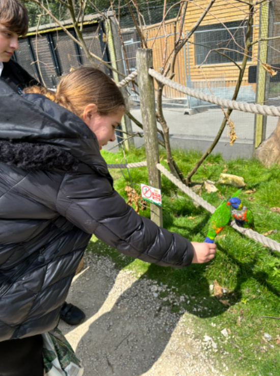 Samuel Laycock School - Home